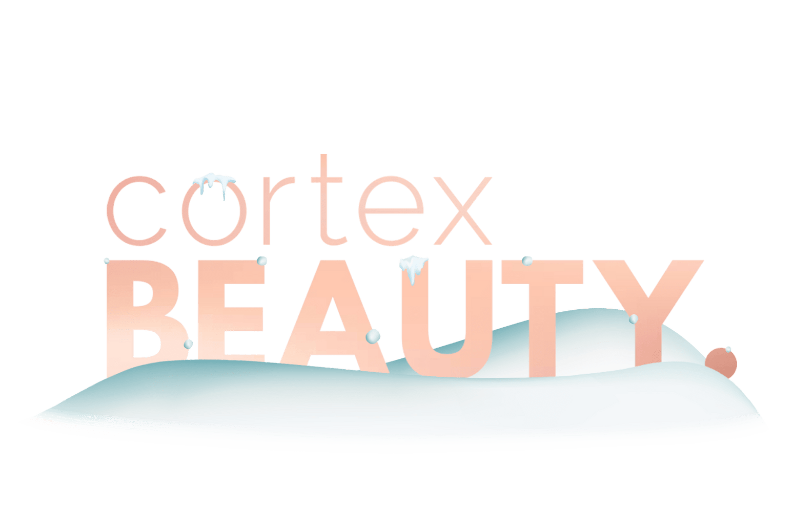 Air Fold - Ionic Foldable Dryer + 2 Piece Blowout Brush Set